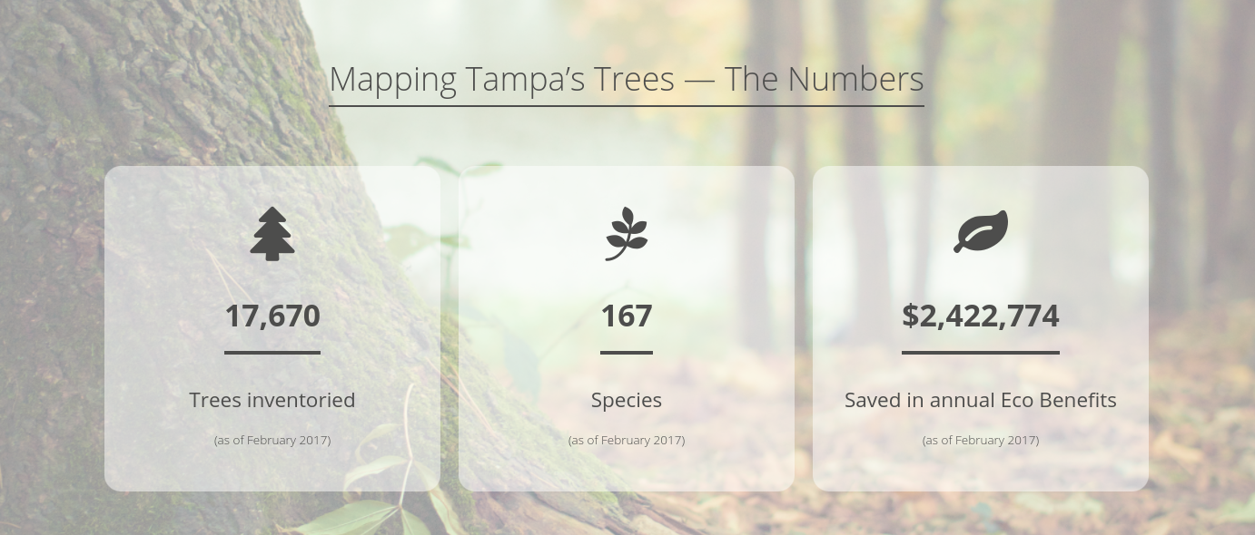 TampaTreeMap tracks trees with benefits - Tree Masters, Inc.